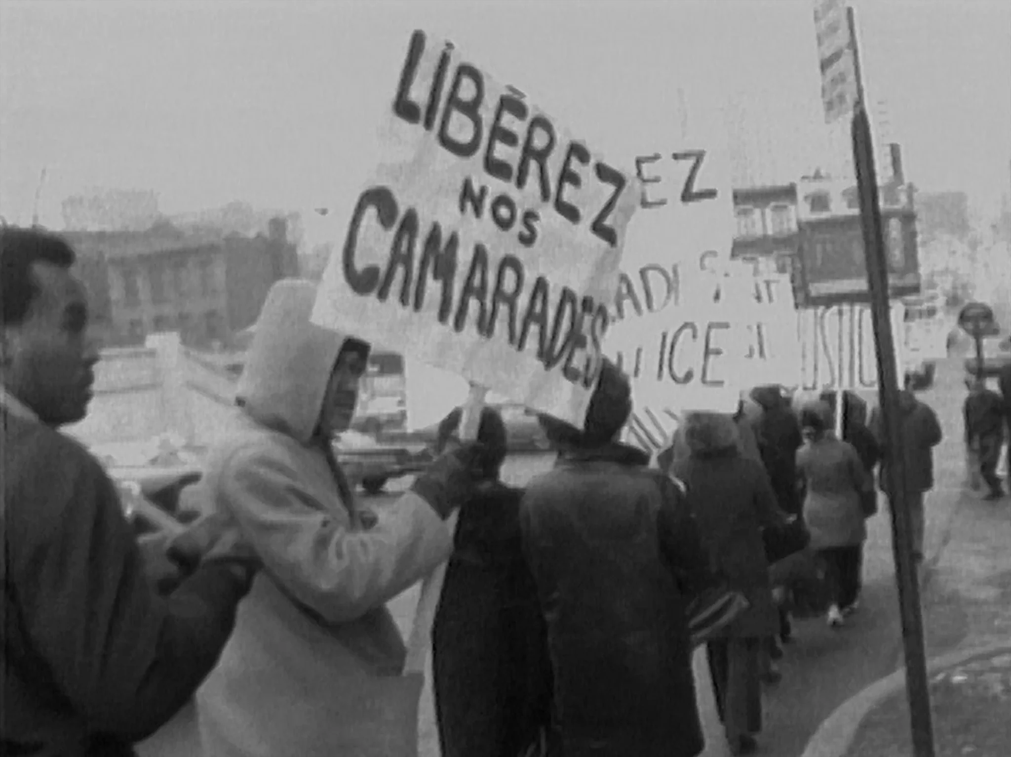 TIFF '25: True North - Justice Is Constant Struggle | ScreenFish